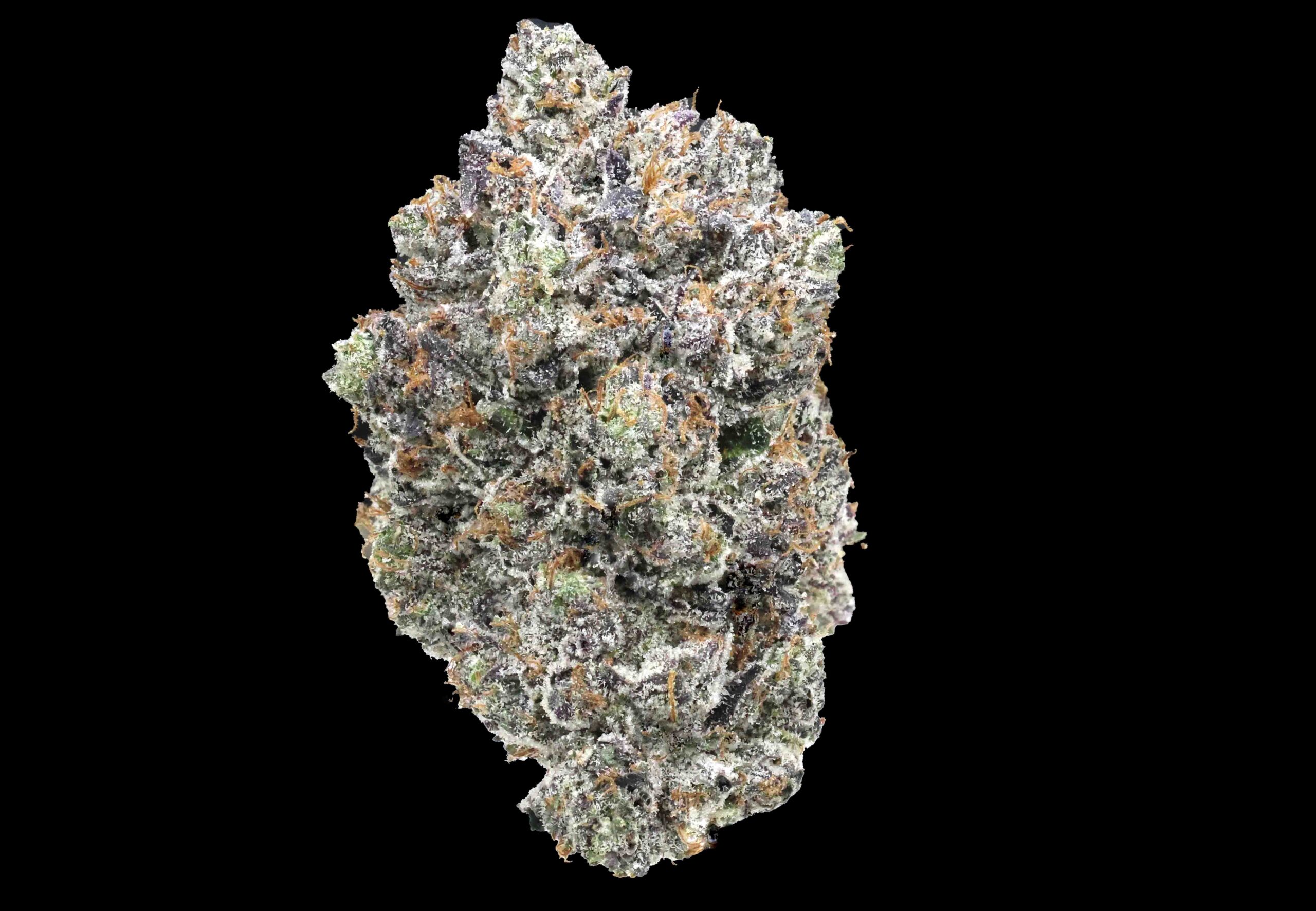 Sugar High - The Bulk Guys